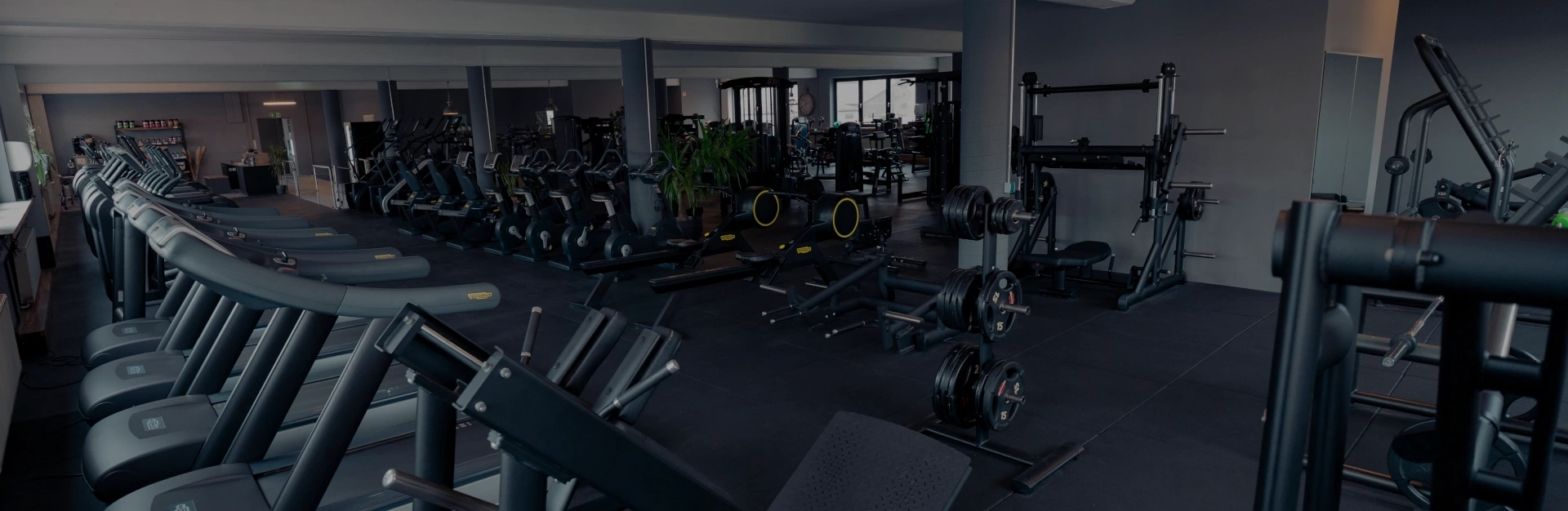 The Loft Fitness – Neue Website für ein besseres Nutzererlebnis